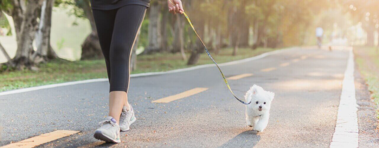 5 Easy Ways To Get Active With Physical Therapy Program